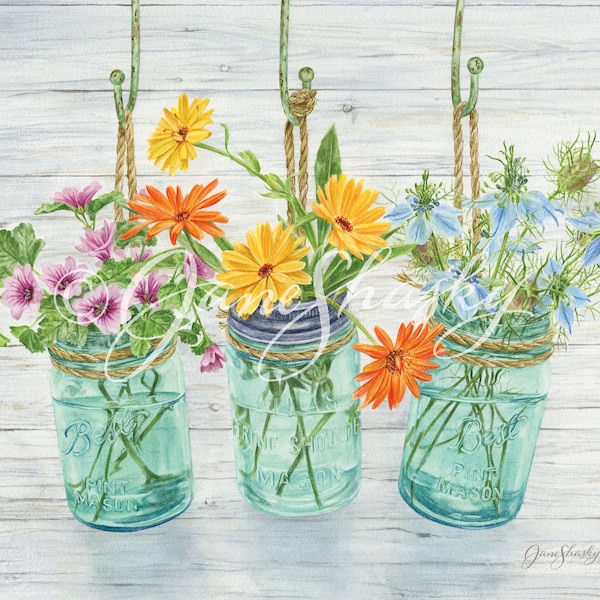 Jane Shasky Print - Etsy