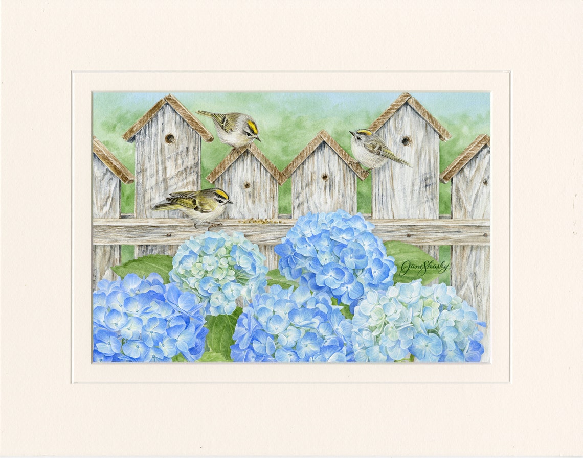 Hydrangea Fence Original Art Print by Jane Shasky - Etsy
