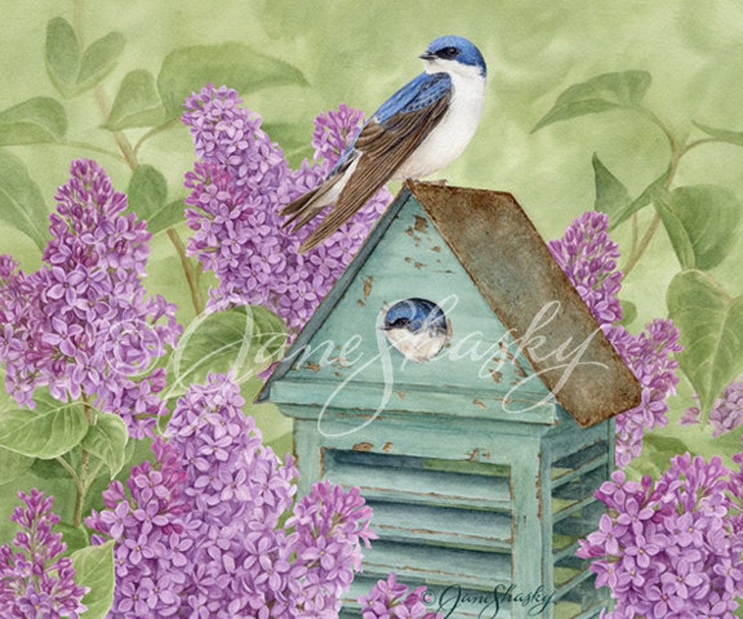 Lilac Birdhouse - Original Art Print by Jane Shasky - Etsy