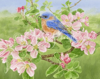 Jane Shasky Art | Etsy