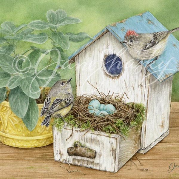 Jane Shasky Art - Etsy