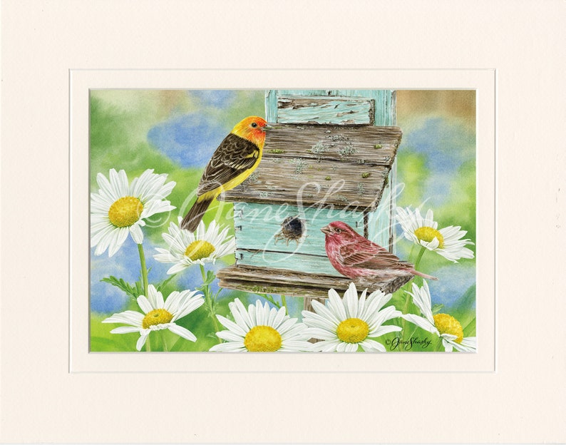 Daisy Birdhouse Fine Art Print by Jane Shasky - Etsy