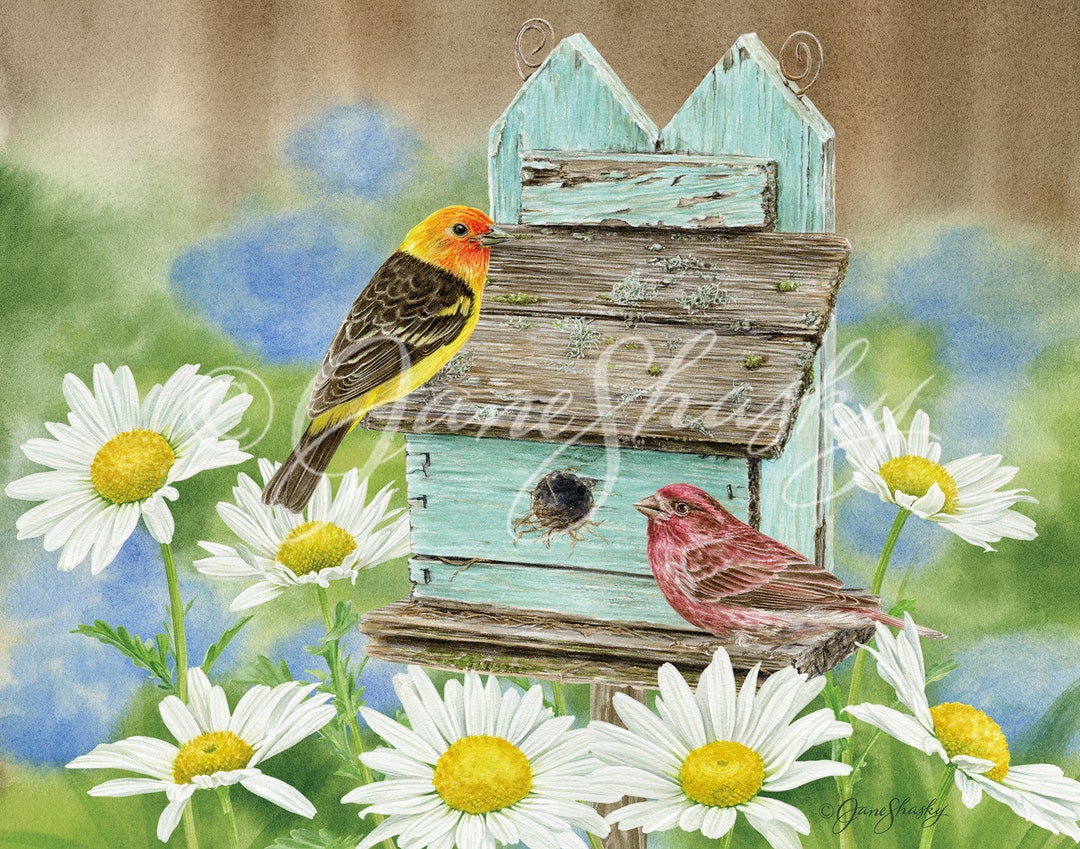 Daisy Birdhouse - Original Fine Art Print by Jane Shasky - Etsy