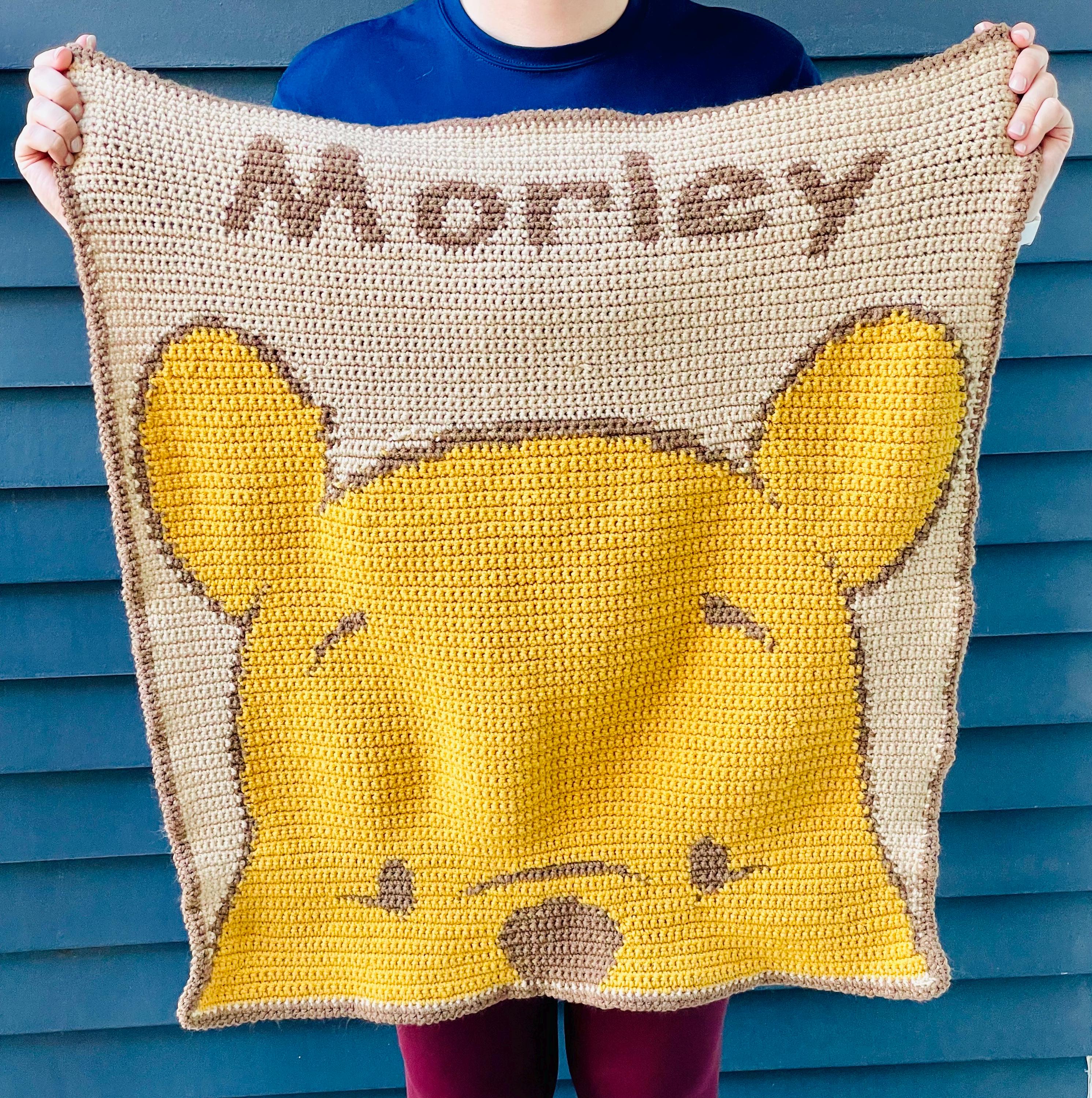 Filet Crochet Dinosaur Baby Blanket Handmade - Etsy