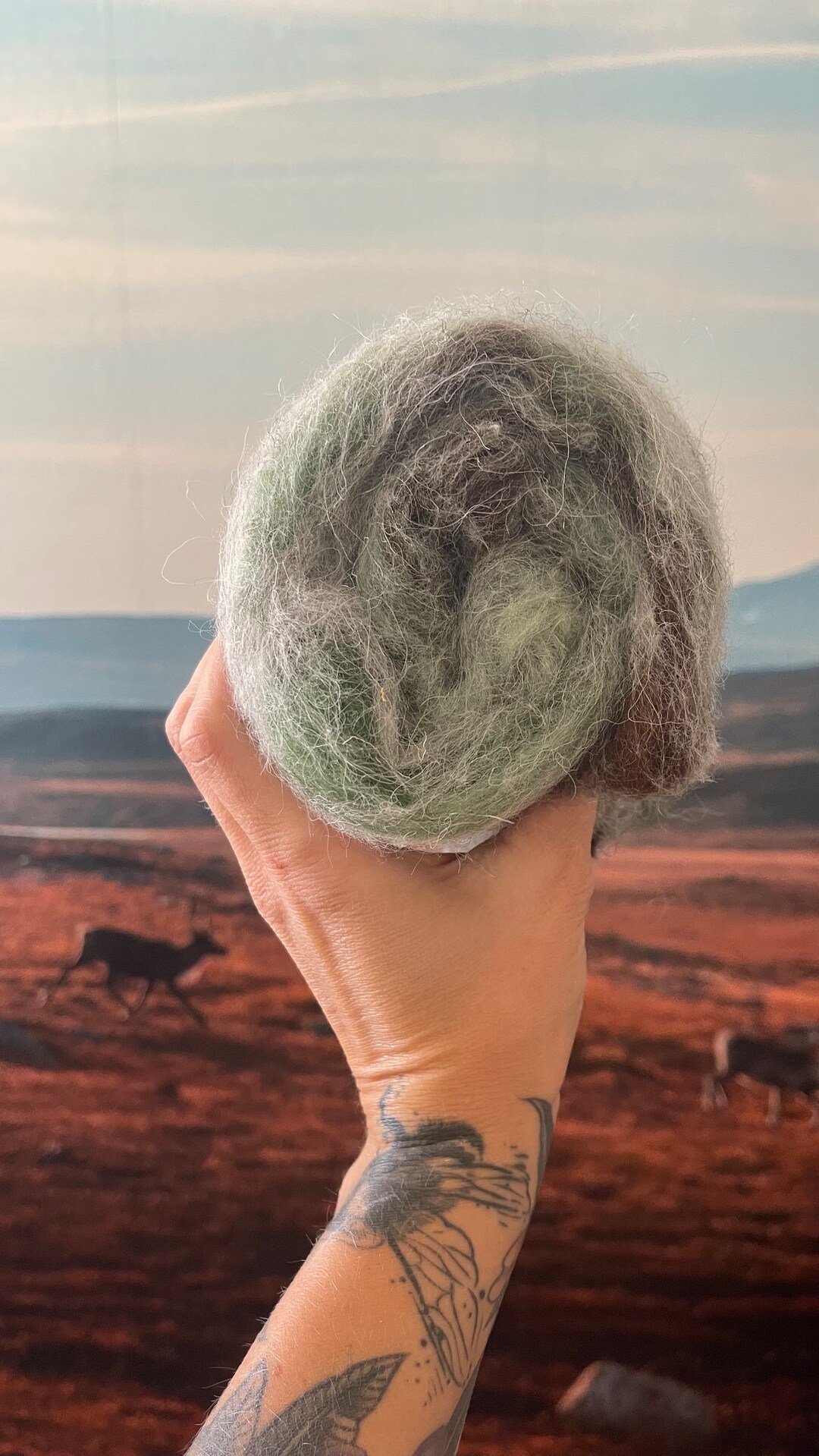 Cottonwood Trees - Local New Mexico Batts - Etsy
