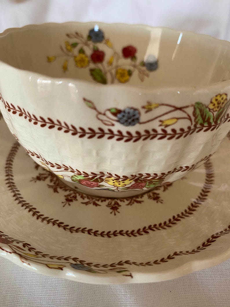 Spode Cowslip S713 Tea Cup and Saucer Vintage Tea Cup and | Etsy