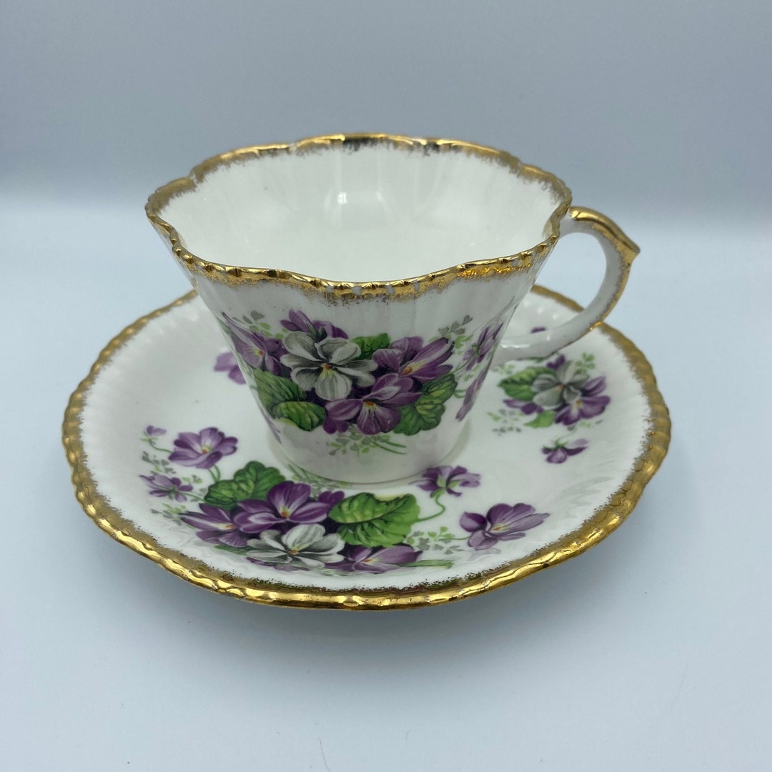 Salisbury Devonshire Violets Tea Cup and Saucer Set Bone China Made in ...