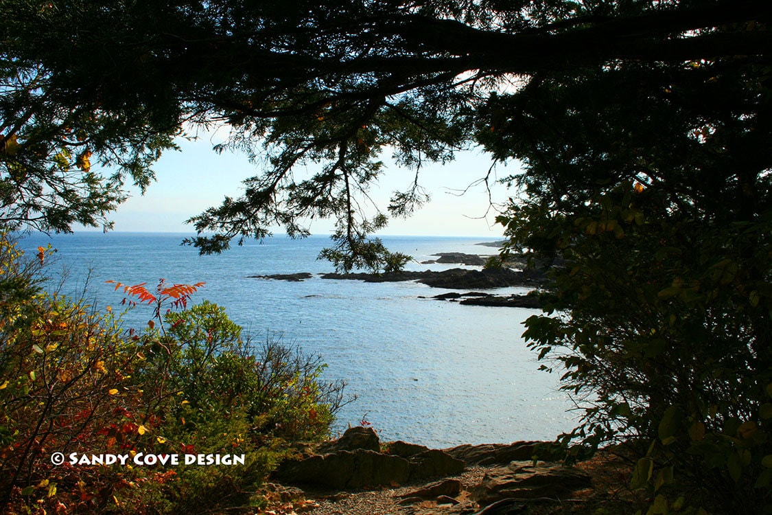 Are Dogs Allowed On Marginal Way Ogunquit Maine
