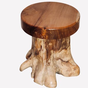 Teakwood Tree Trunk Stool - Etsy