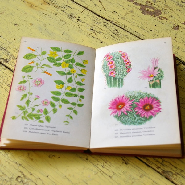 Vintage Flower Book - Etsy