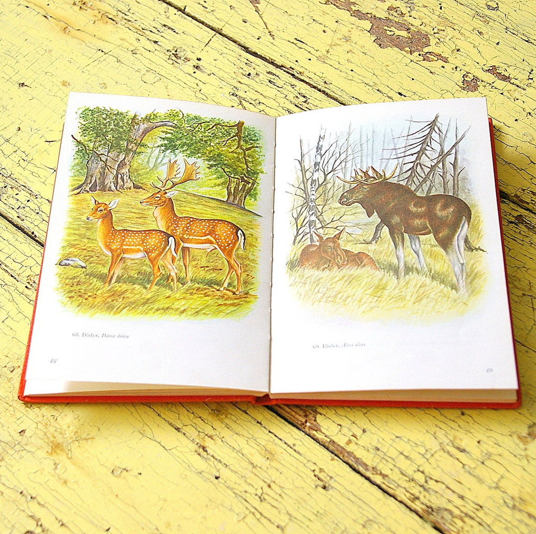 Vintage Wildlife Guide Book, Nordic Animals Illustrations, Whales Polar ...