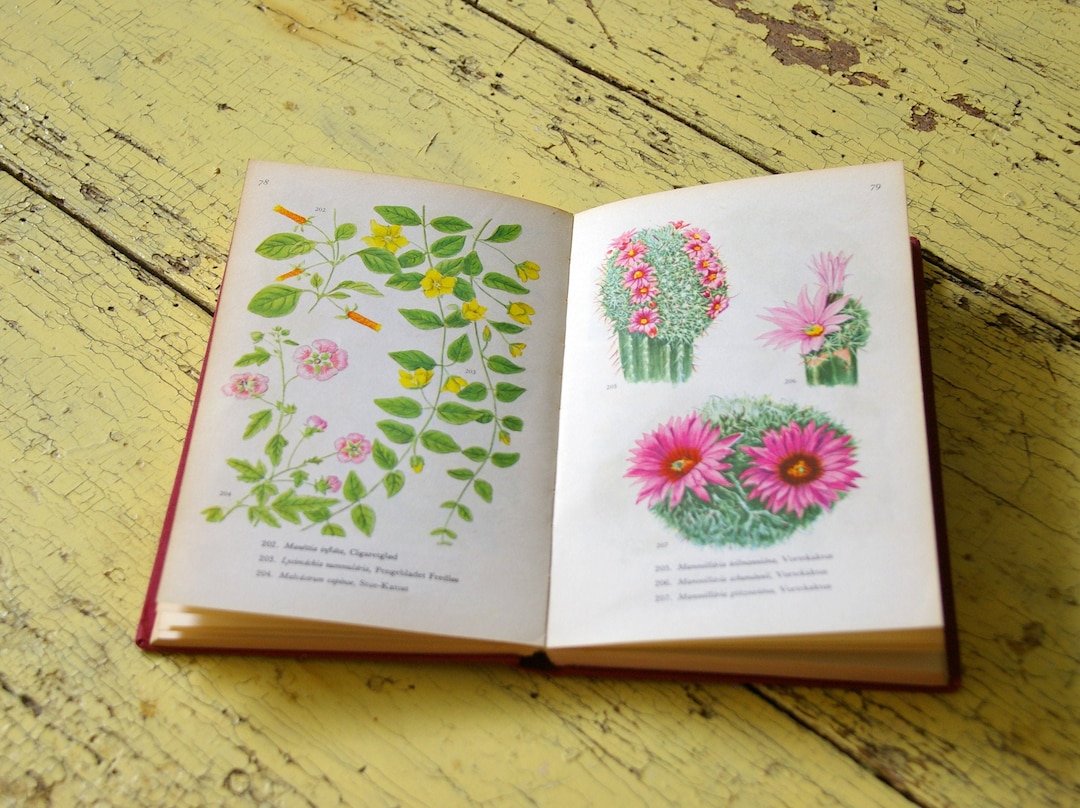 Vintage Flower Book Guide Houseplants, 100+ Color Flower Illustrations ...