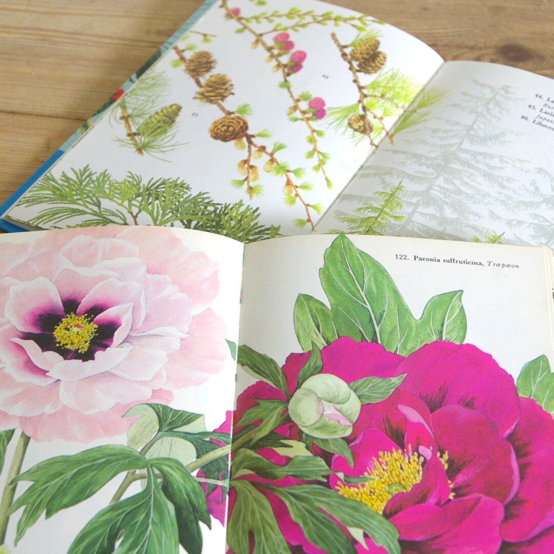 Vintage Two Volumes Bushes Trees Book, Garden Illustrations Flower ...