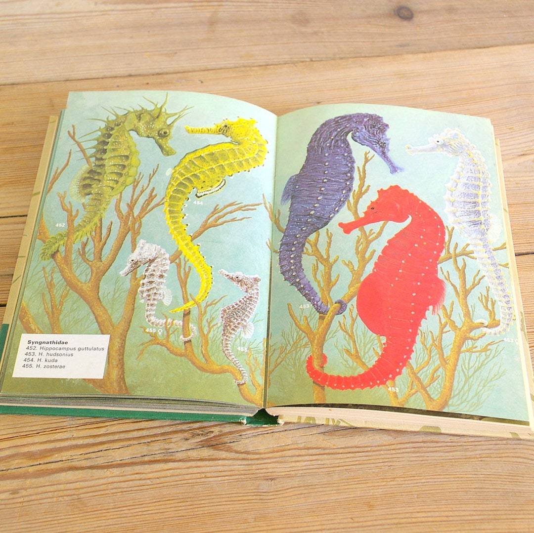 Vintage Aquarium Fish Book, 100+ Pages Color Illustrations, Fish Guide ...