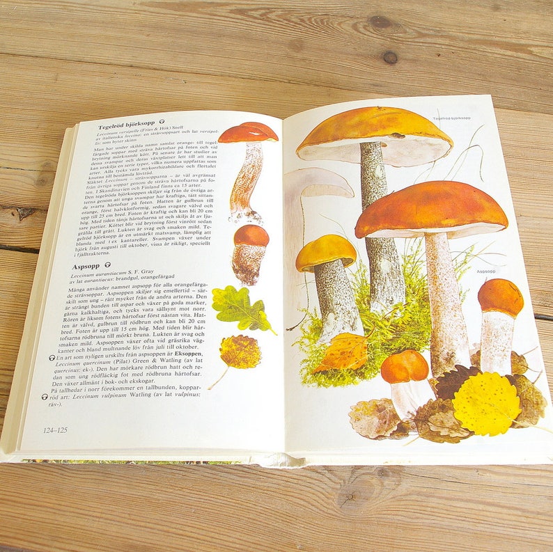 Vintage 2 Volumes Mushroom Fungi Books With Many Color | Etsy