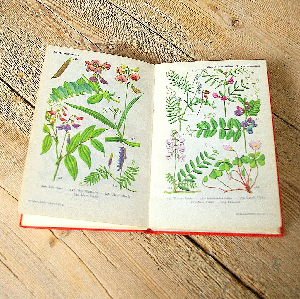 Vintage Flower Book, Flora Field Guide 120+ Pages, Floral Illustrations ...