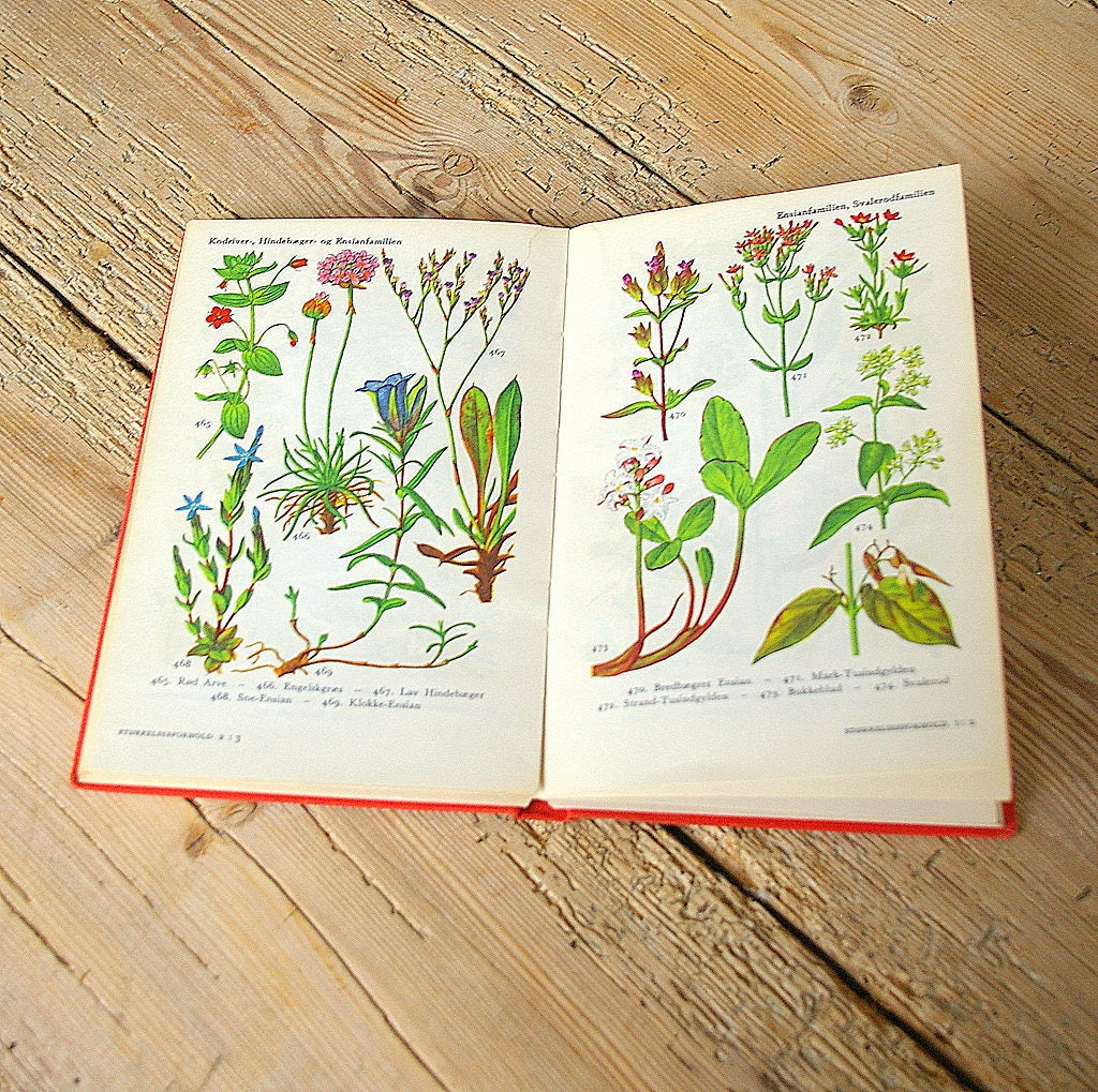 Vintage Flower Book, Flora Field Guide 120+ Pages, Floral Illustrations ...