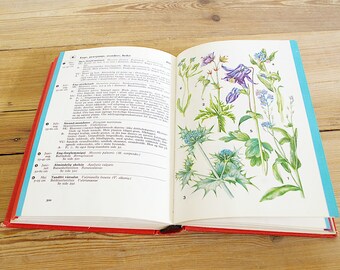 Vintage Flower Book Guide Houseplants, Vintage Flower Guide, 100 Color ...