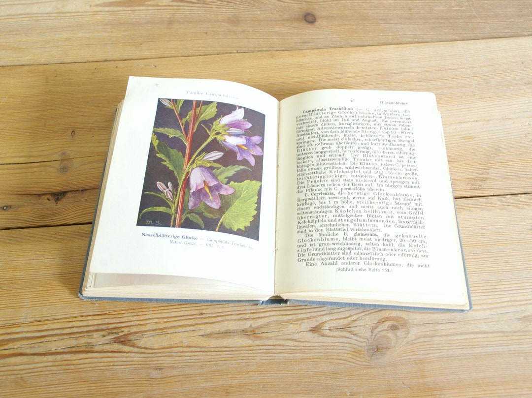 Vintage Flora Book Guide, Forest Flower Ferns Field Guide, Botanical ...