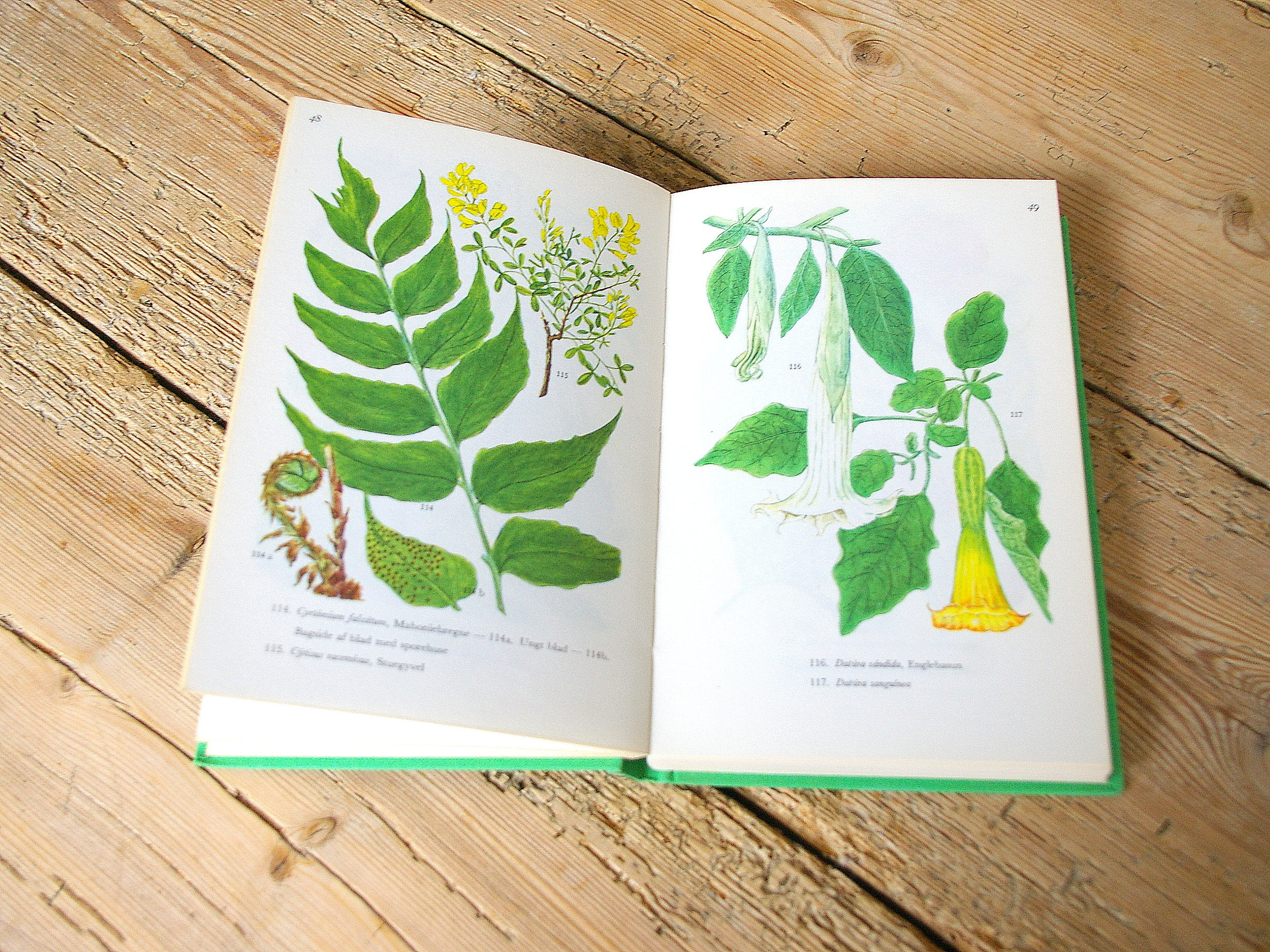 Vintage Books For Romance And Spring - Live Lovely Photography