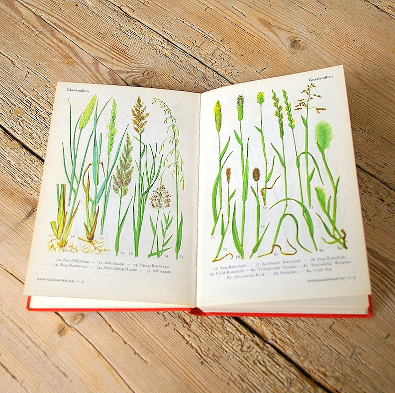 Vintage Flower Book, Flora Field Guide 120+ Pages, Floral Illustrations ...