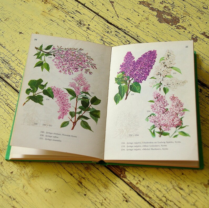 Vintage Book Bushes Trees, 100+ Illustrations, Garden Flower Guide ...
