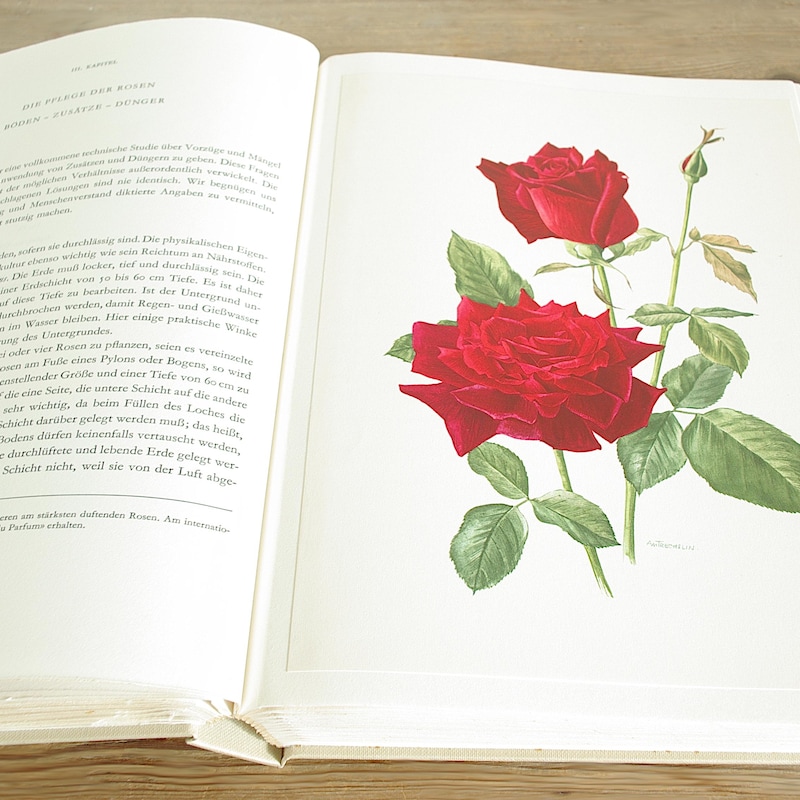 RedCottageVintage - Etsy