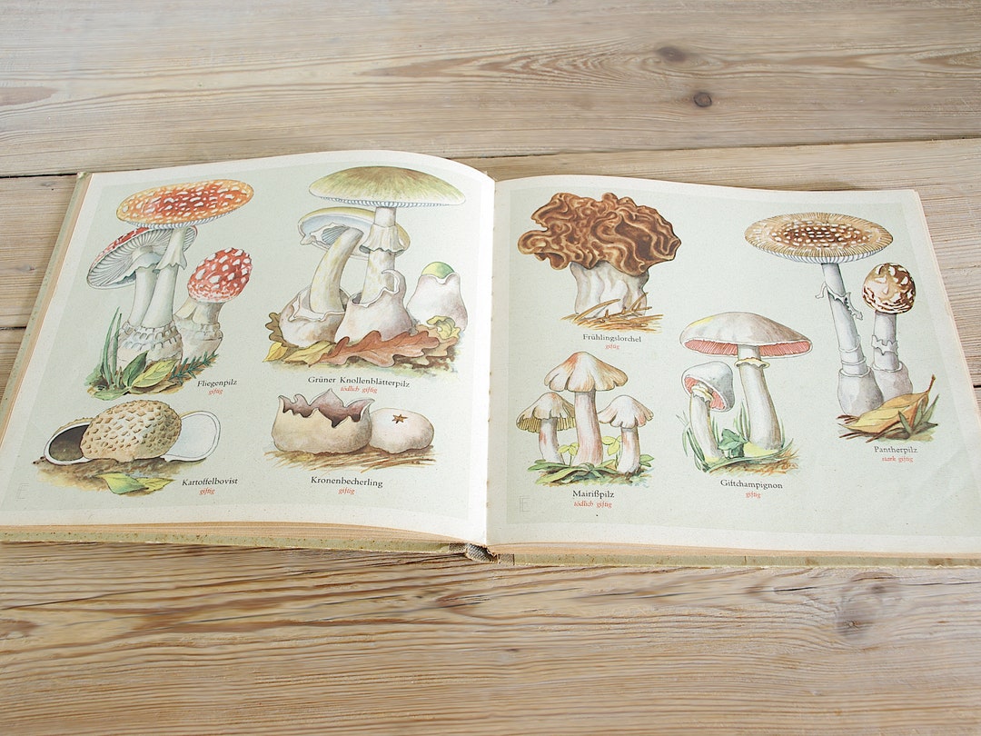 Vintage Mushroom Fungi Book With Color Illustrations, Old Field Guide ...