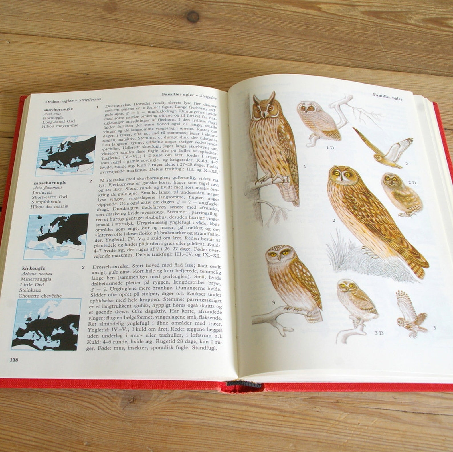 Vintage Book Birds Illustrations Bird Guide Wildlife Owls - Etsy