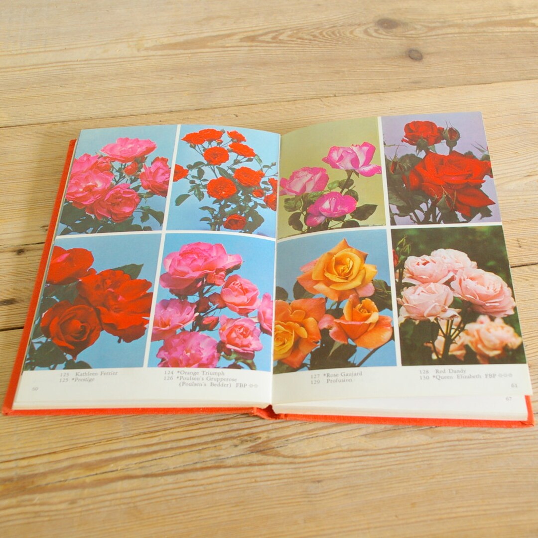 Vintage 90 Color Page Rose Book Roses Flower Guide - Etsy