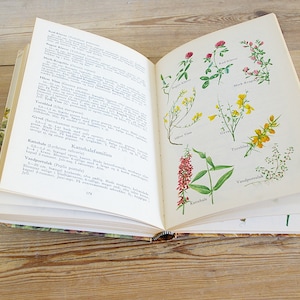 Vintage Flora Book, Wildflower Field Guide, Botanical Illustrations ...