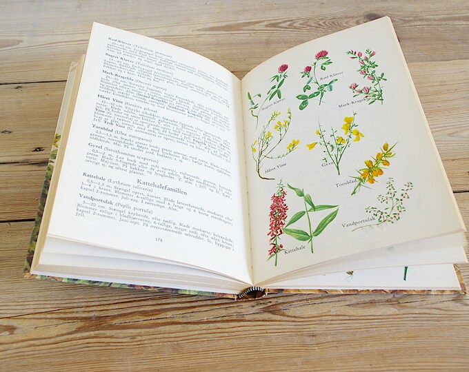 Vintage Flora Book Wildflower Field Guide Botanical - Etsy