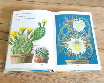 Vintage Flower Book Guide Houseplants, Vintage Flower Guide, 100 Color ...