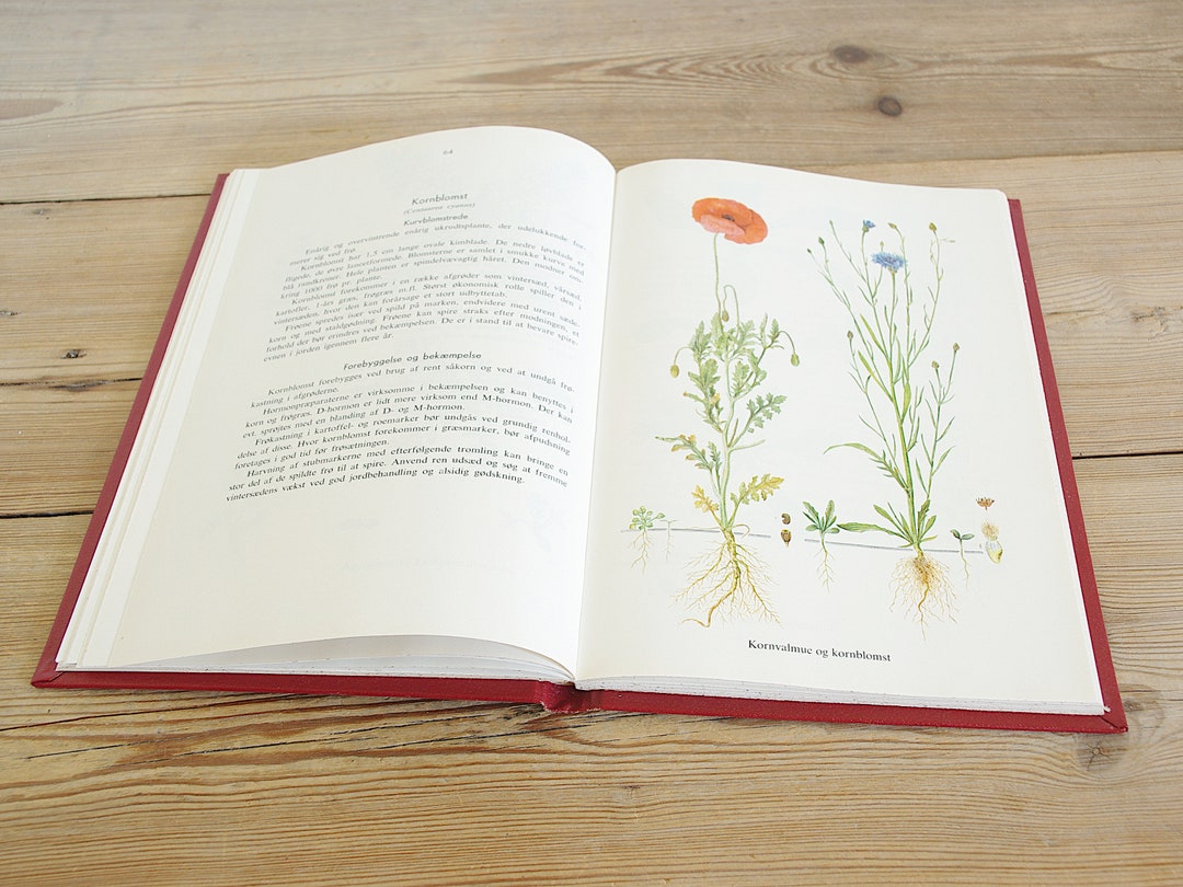 Vintage Flower Book or Flora Field Guide With Color Floral ...