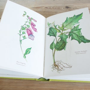 Vintage Flower Book With 300 Beautiful Color Illustrations, Exquisite ...