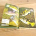 Vintage Aquarium Fish Book, 100+ Pages Color Illustrations, Fish Guide ...