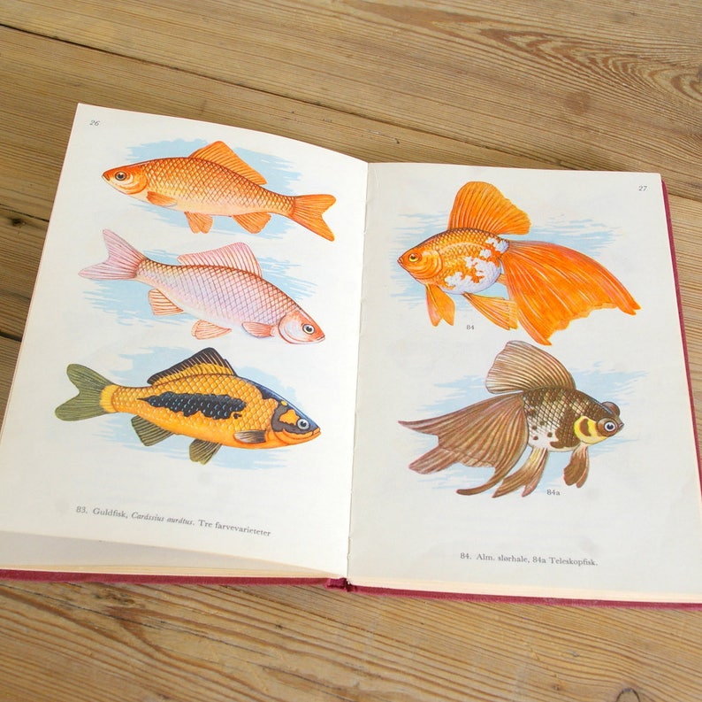 Vintage Aquarium Fish Book Fish Illustrations Fish Guide - Etsy