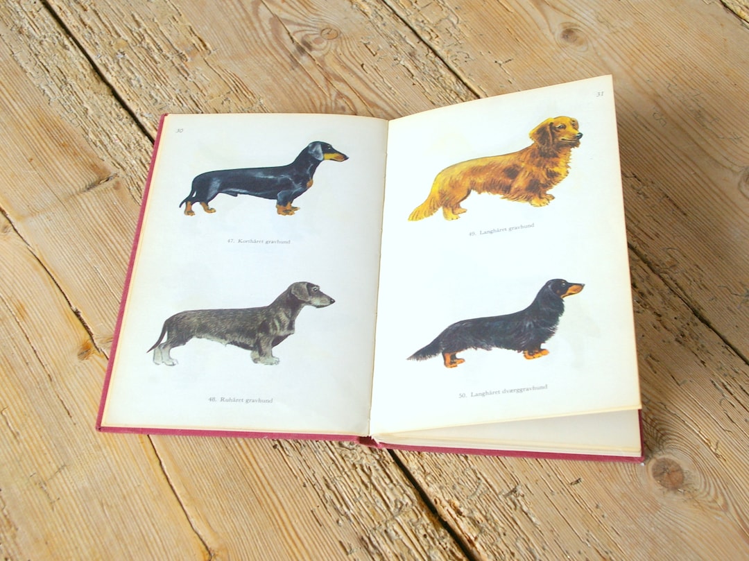 Vintage Dog Book With Color Illustrations, Gift for Dog Lover, Dog ...