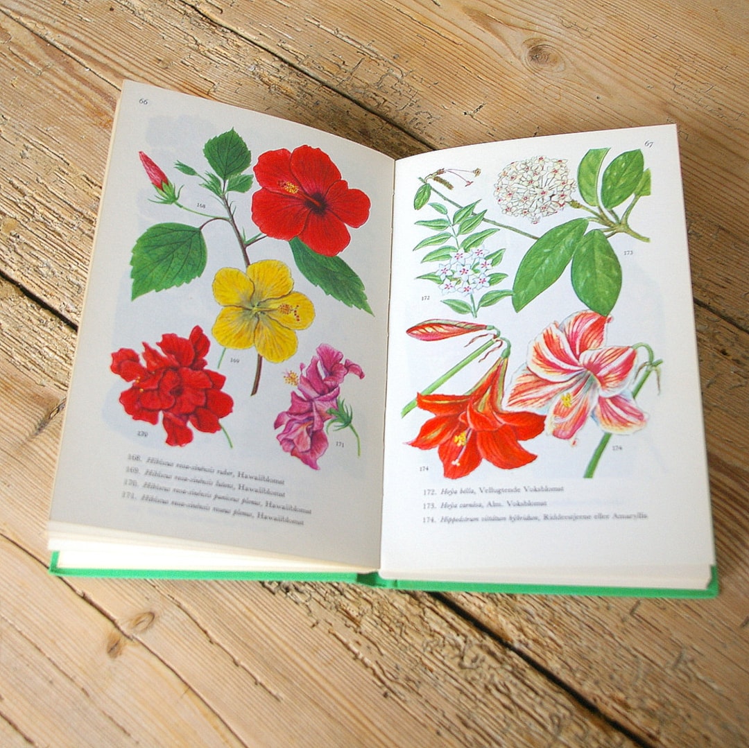 Vintage Flower Book Guide Houseplants, 100+ Color Flower Illustrations ...