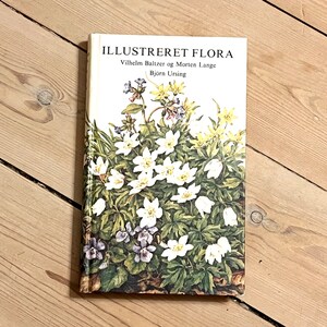 Vintage Flora Book, Wildflower Field Guide, Botanical Illustrations ...