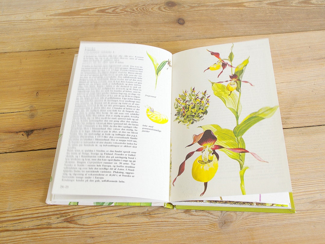 Vintage Orchid Book, 100+ Pages Flower Field Guide, Flora Illustrations ...