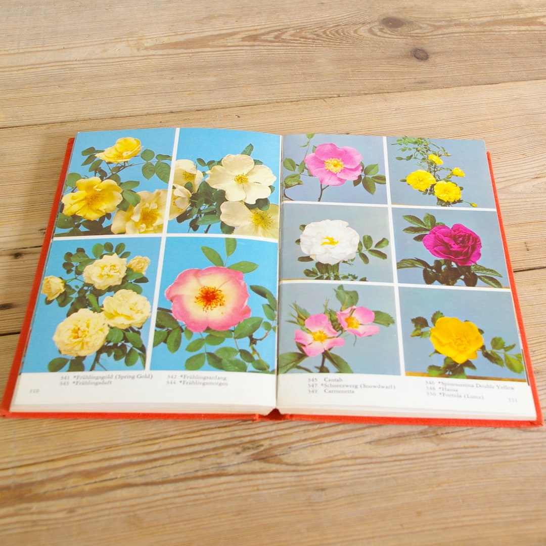 Vintage Rose Book With 90 Pages Color Illustrations, Roses Flower Guide ...