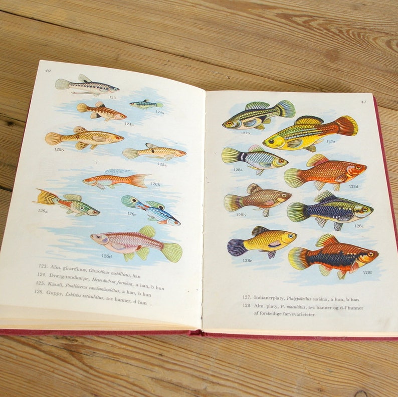 Vintage Aquarium Fish Book Fish Illustrations Fish Guide - Etsy