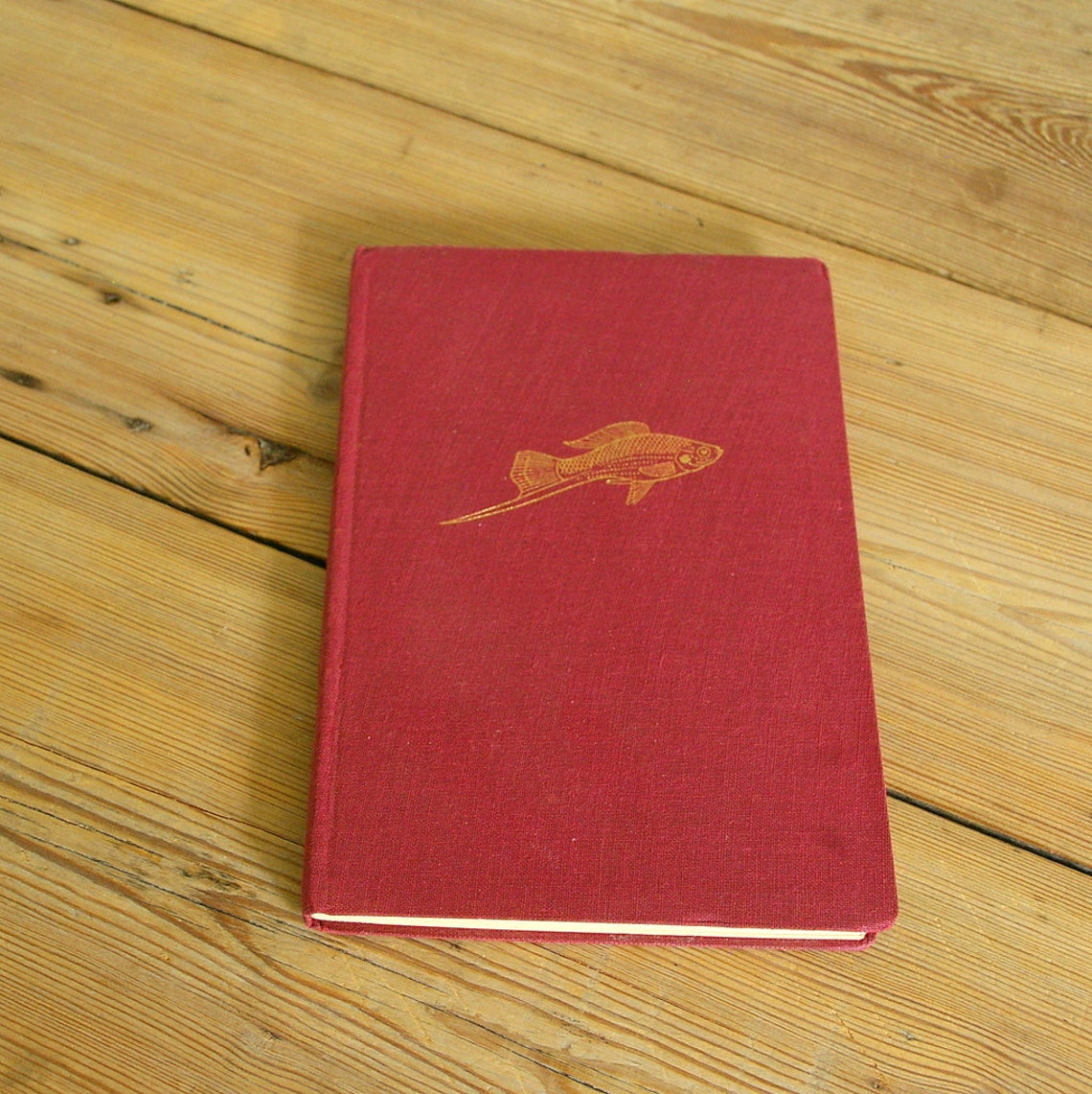 Vintage Aquarium Fish Book Fish Illustrations Fish Guide - Etsy