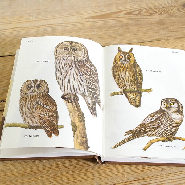 Vintage Bird Book - Etsy