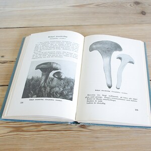 Vintage Mushroom Fungi Book, Botanical Black and White Illustrations ...