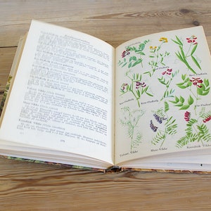 Vintage Flora Book, Wildflower Field Guide, Botanical Illustrations ...