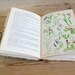 Vintage Flora Book, Wildflower Field Guide, Botanical Illustrations ...