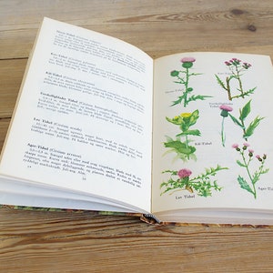 Vintage Flora Book, Wildflower Field Guide, Botanical Illustrations ...