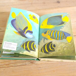 Vintage Aquarium Fish Book, 100+ Pages Color Illustrations, Fish Guide ...